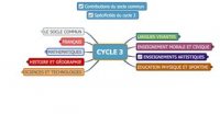 Nouveaux programmes cycle 3 : outils d'appropriation - Circonscription ...